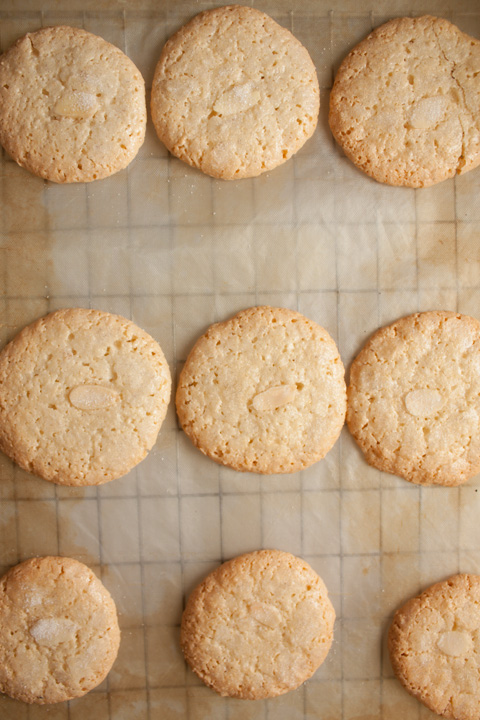 Almond Macaroons Cake And Cookie Recipes